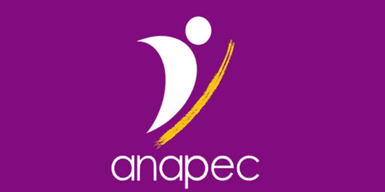 Offre d'emploi: ANAPEC recrute (60) Postes Différent à Berrechid ...